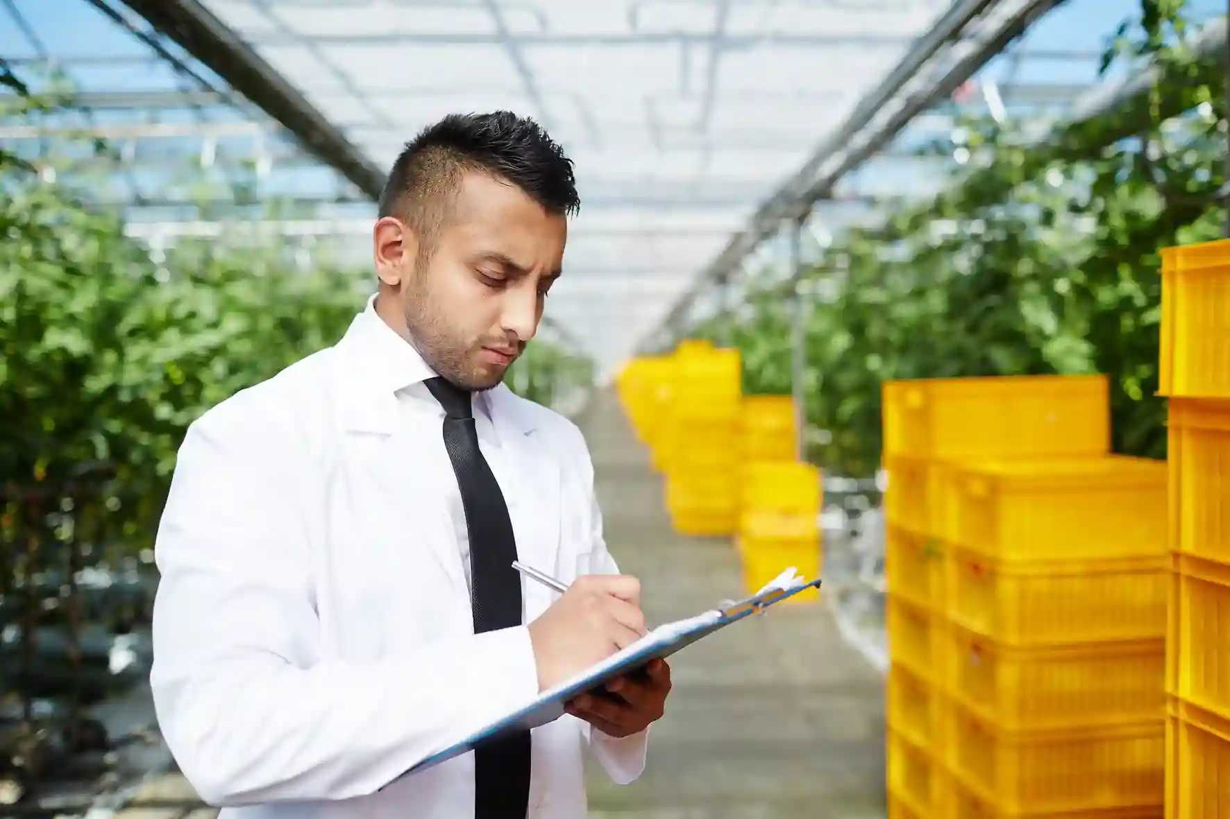 Food Distributor Compliance Under UAE’s New Tiered Tax